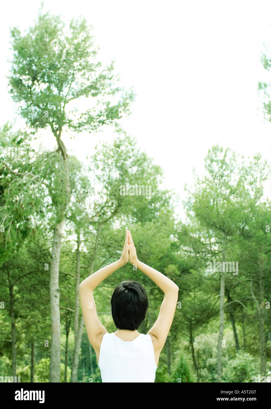 Woman standing in sun salutation, facing trees Stock Photo - Alamy