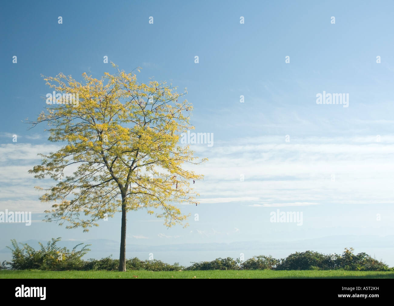 Landscapes no one in the sky lawn field hi-res stock photography and ...