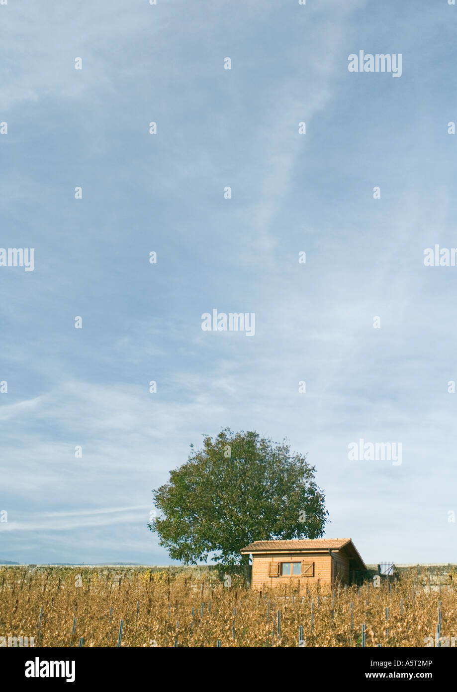 Wood cabin and field Stock Photo - Alamy