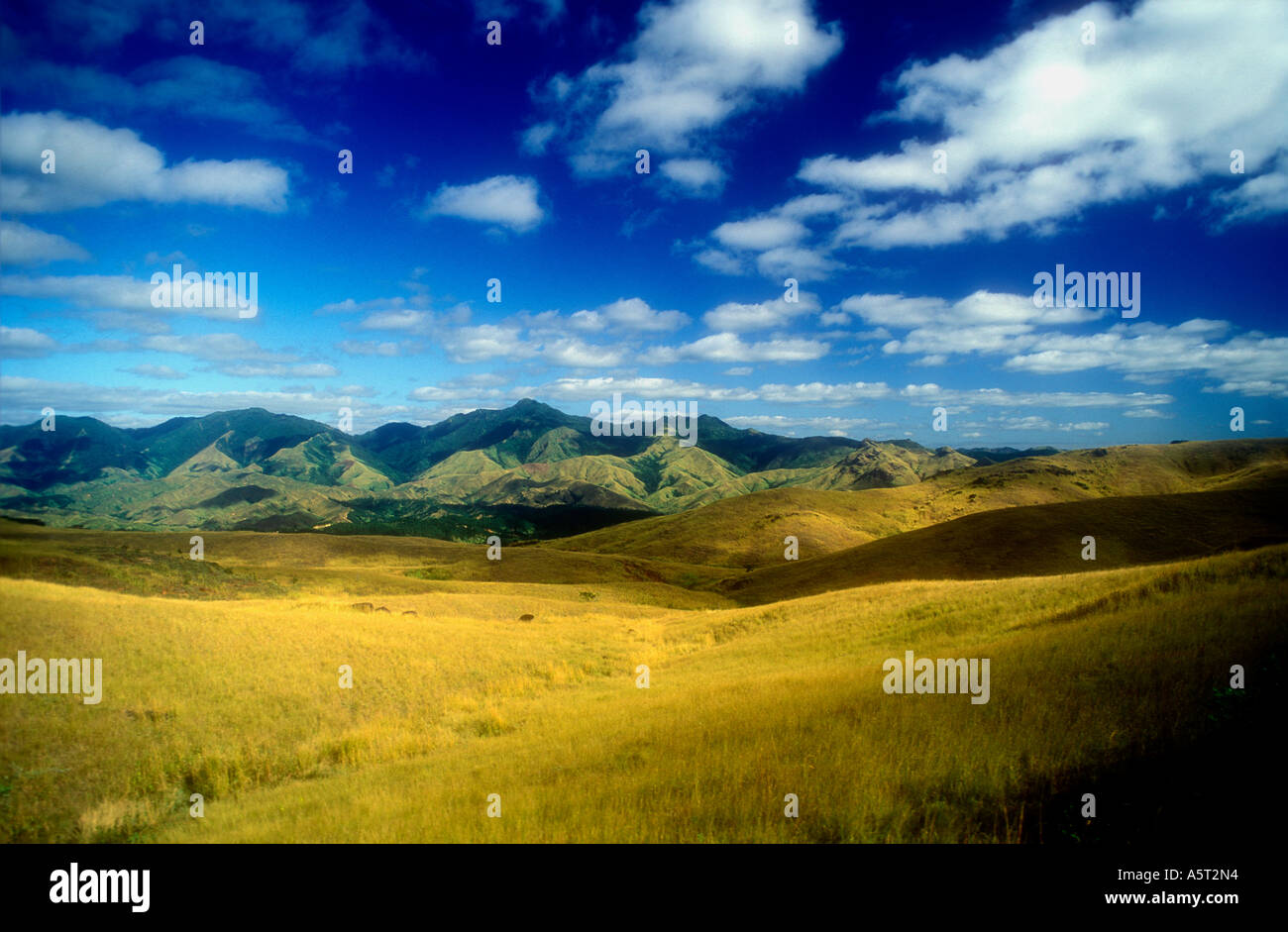 Fiji central hi-res stock photography and images - Alamy