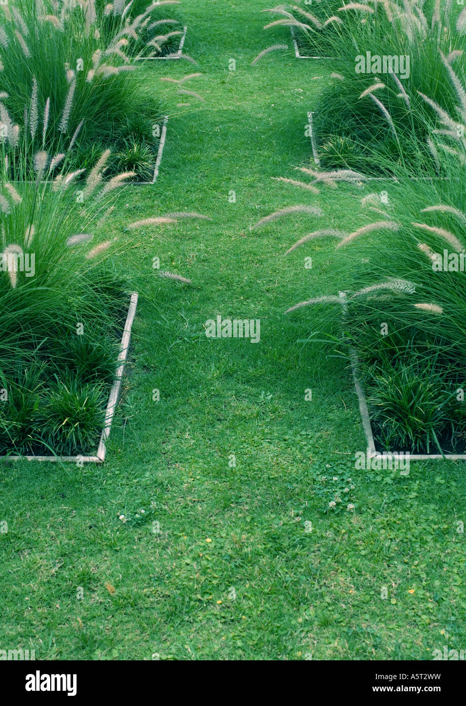 Reeds tall grasses garden hi-res stock photography and images - Alamy