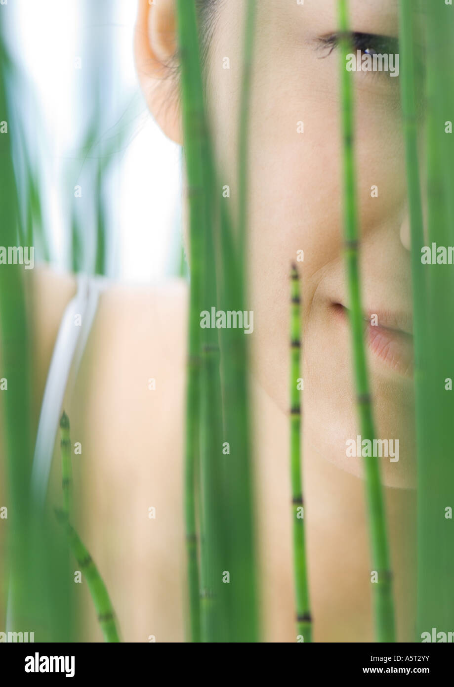 Womans face seen through reeds Stock Photo - Alamy