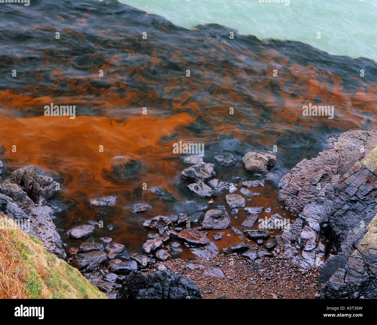 Sea Empress Oil Disaster Pembrokeshire Wales Stock Photo - Alamy