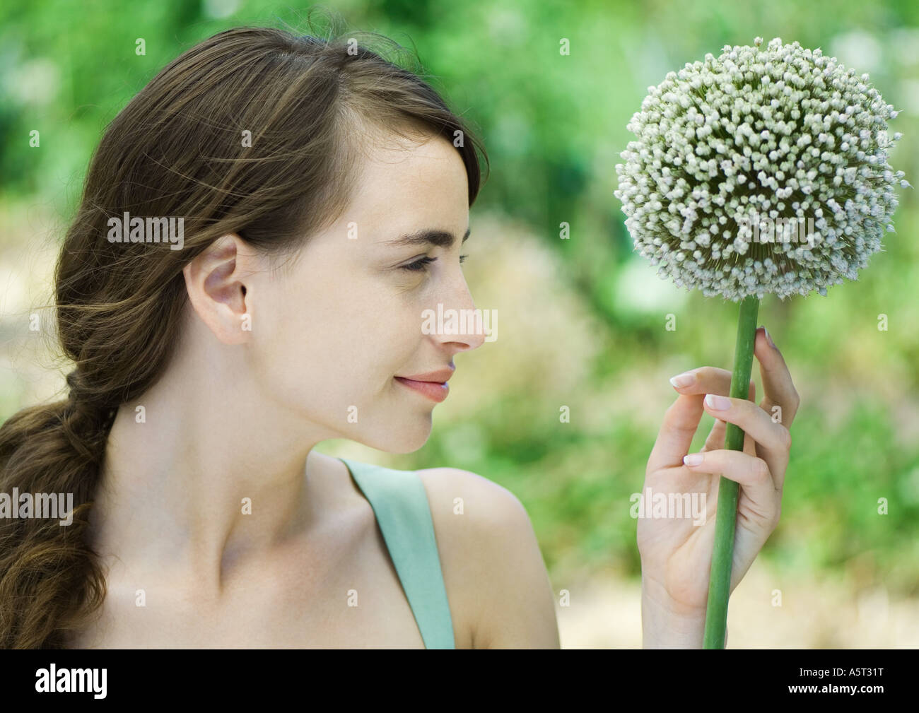 Stalk profile hi-res stock photography and images - Alamy