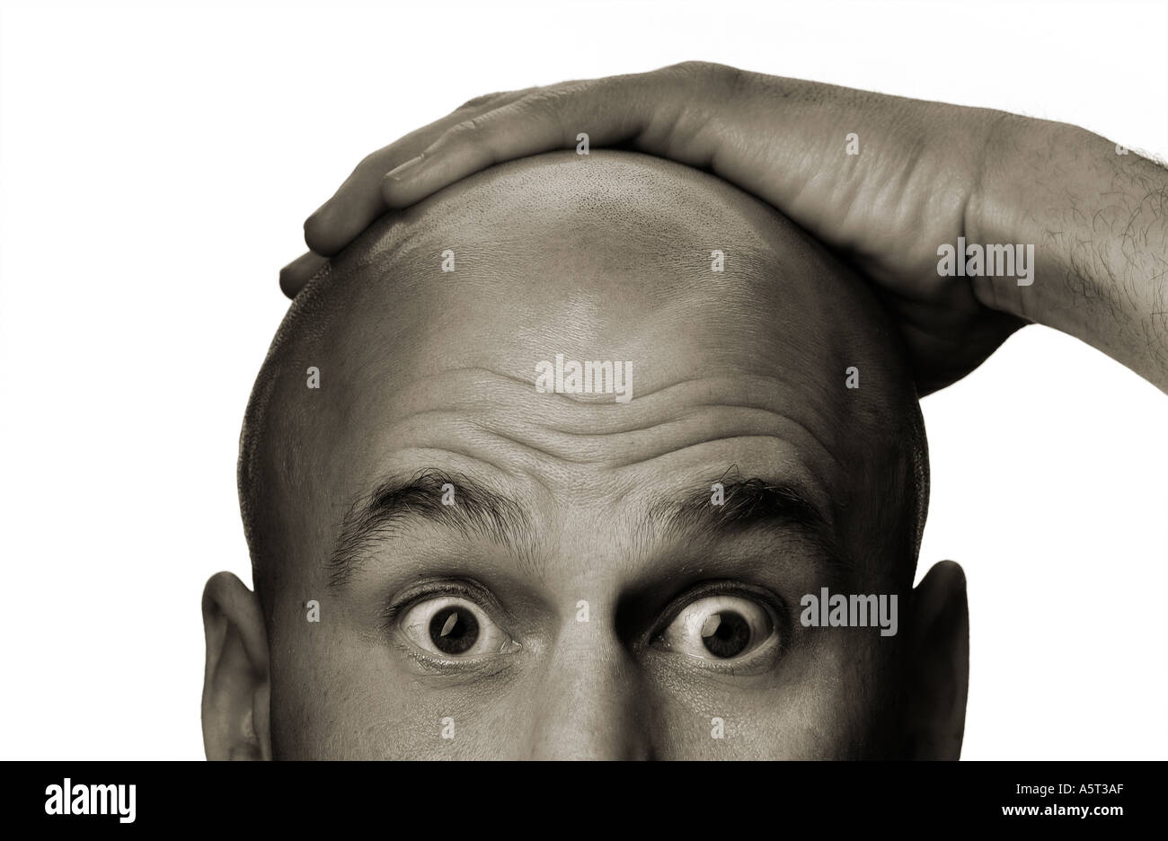 Bald caucasian man 40 ish with hand on top of head Surprised look Sepia ...