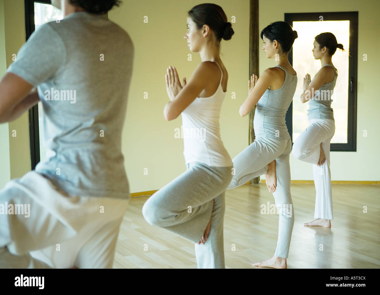 Yoga class standing in tree pose Stock Photo - Alamy