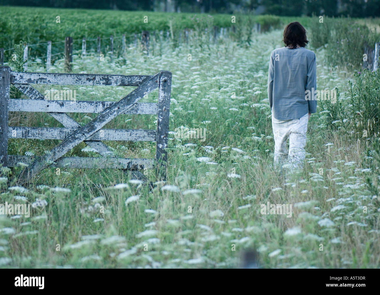 Man walking in field, passing wooden gate, rear view Stock Photo - Alamy