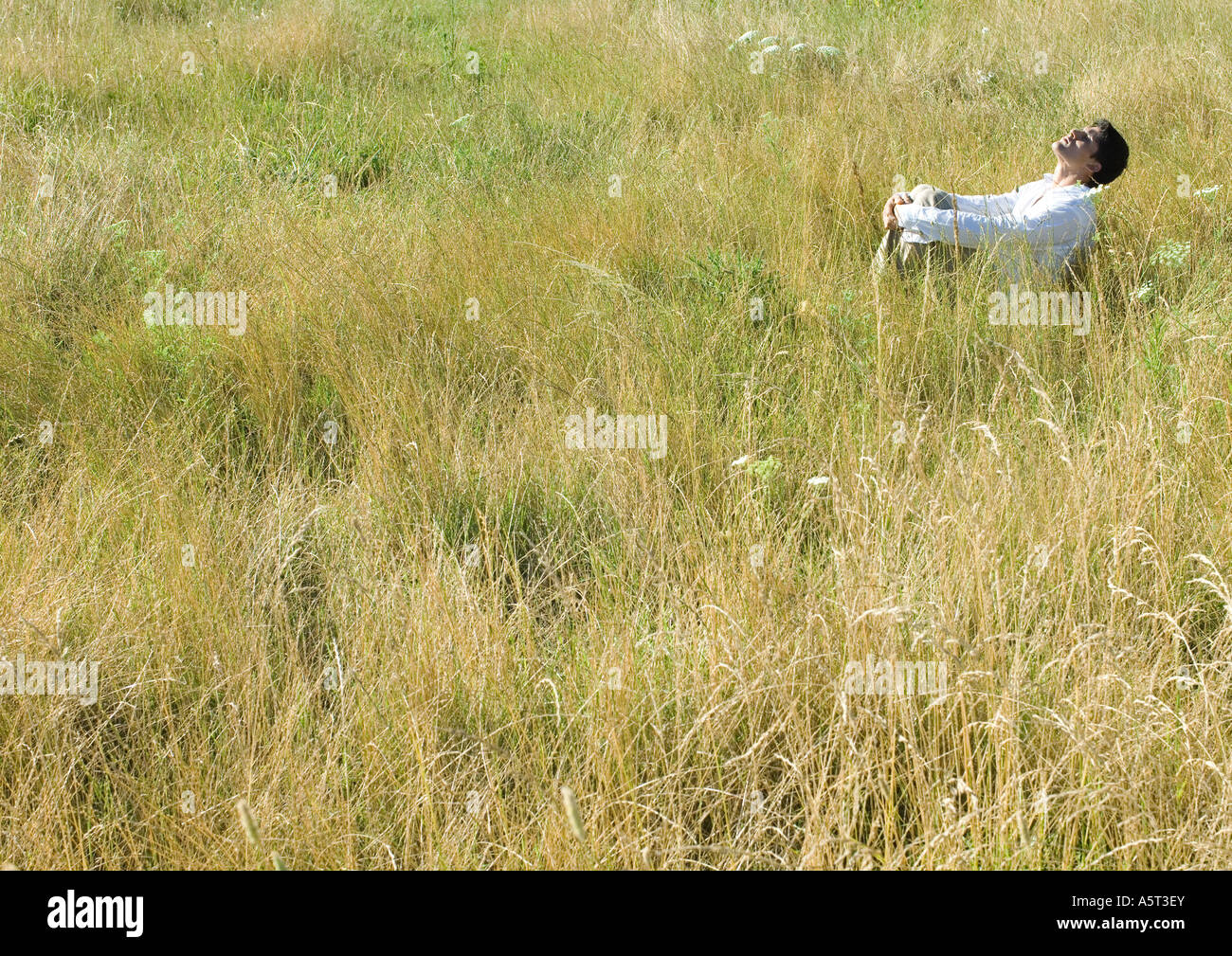 Man sitting in field Stock Photo - Alamy