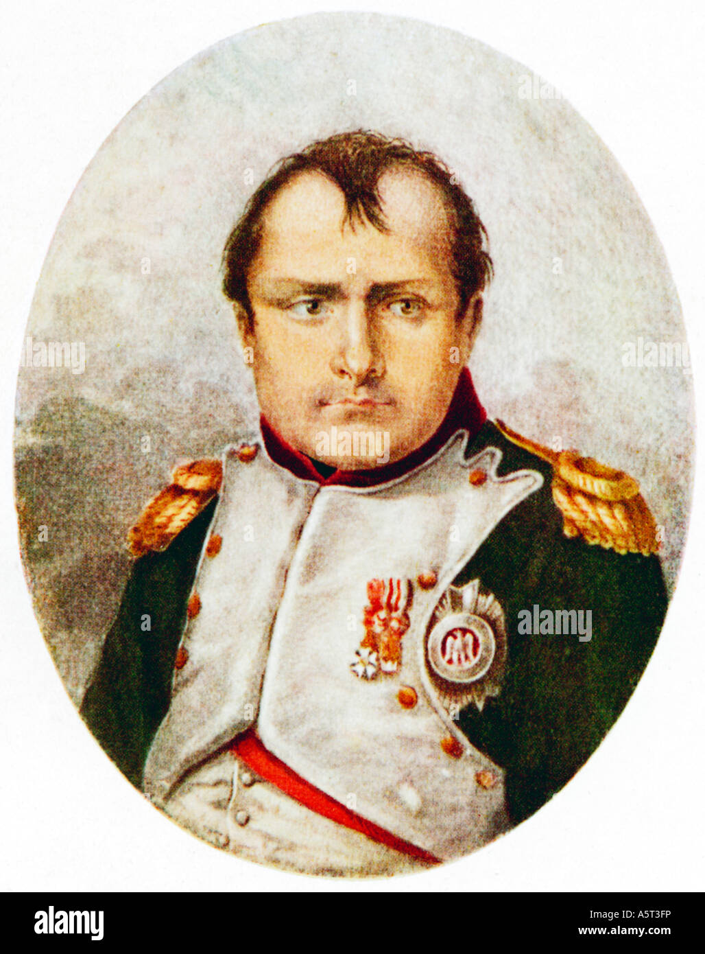 Painting emperor napoleon bonaparte hi-res stock photography and images ...