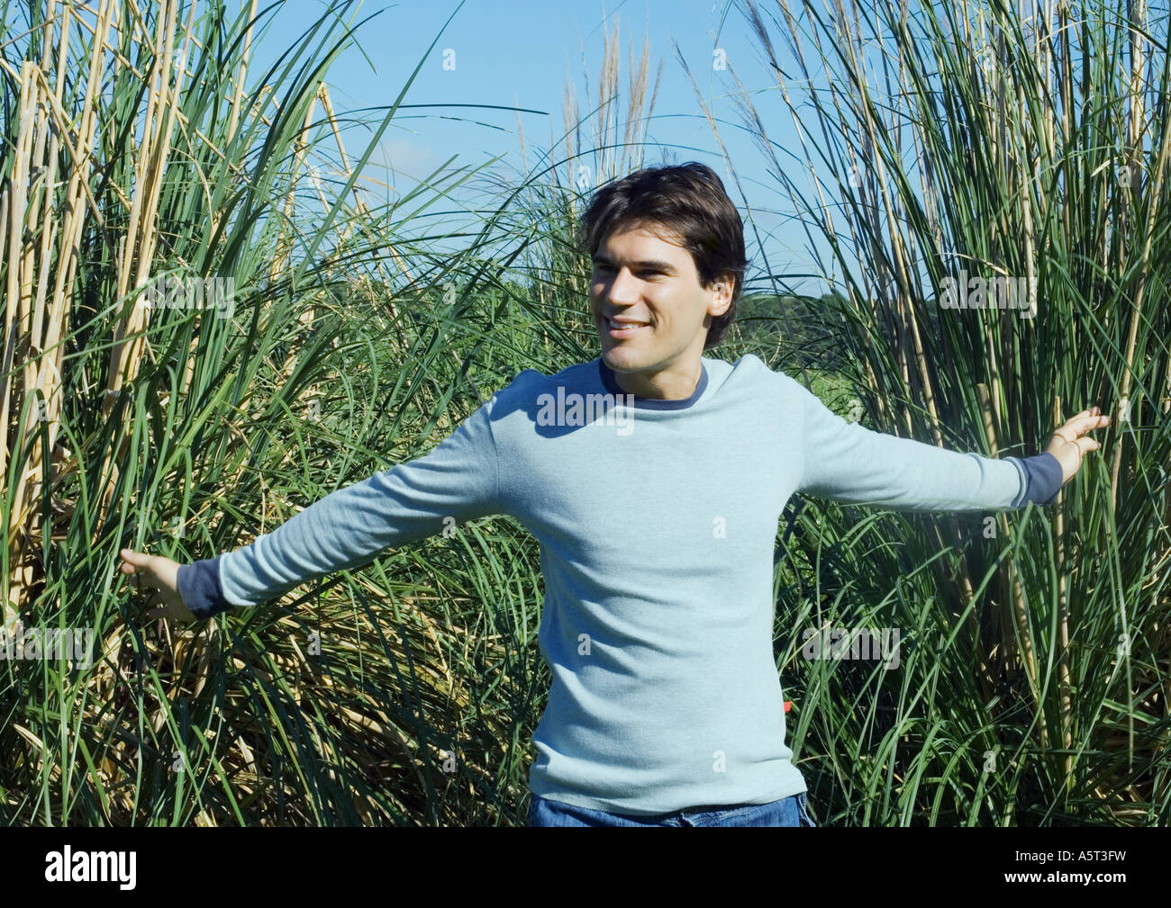 Walking through the reeds hi-res stock photography and images - Alamy