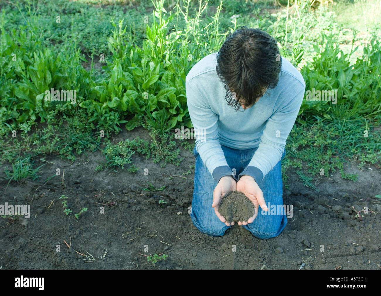 Man kneeling on ground, holding soil in hands Stock Photo - Alamy
