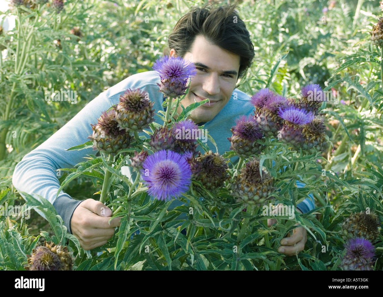 Man smiling, behind thistle flowers Stock Photo - Alamy