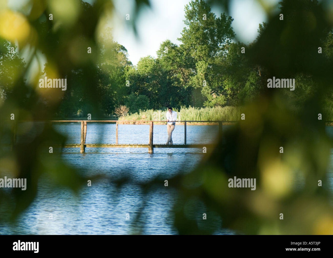 Man standing on footbridge over river, in distance, seen through leaves ...