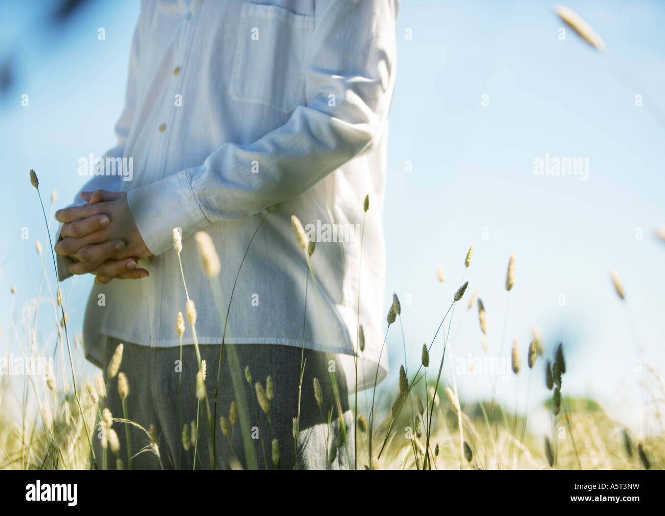 Man standing in field with hands clasped, mid section Stock Photo - Alamy