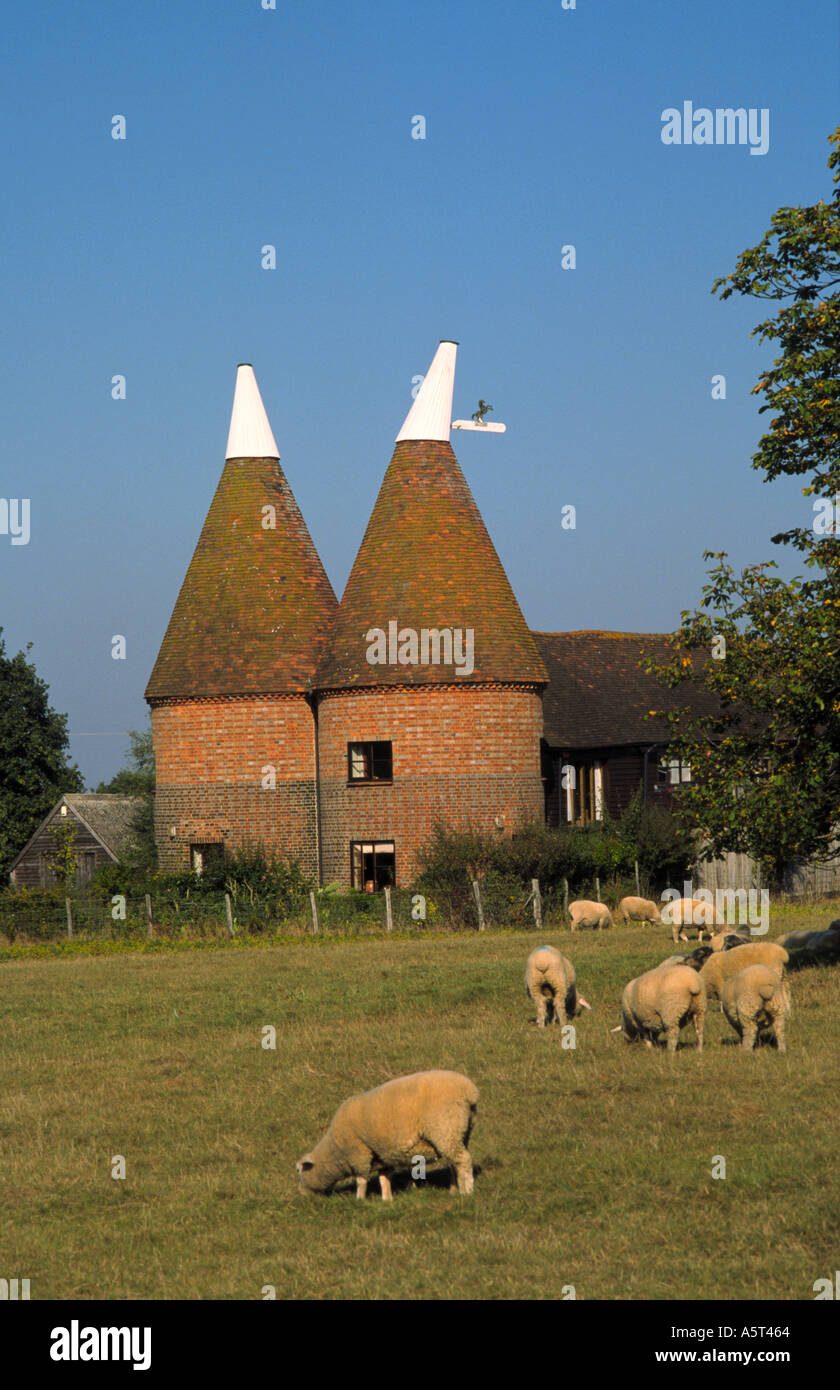 Oasts houses kent hi-res stock photography and images - Alamy