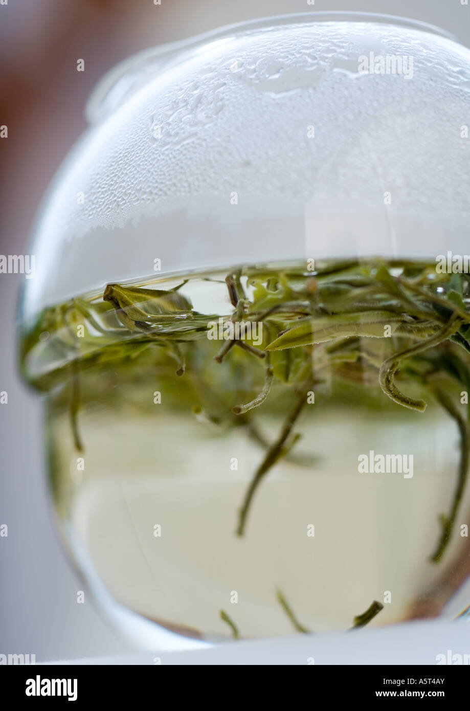 Transparent tea pots hi-res stock photography and images - Alamy