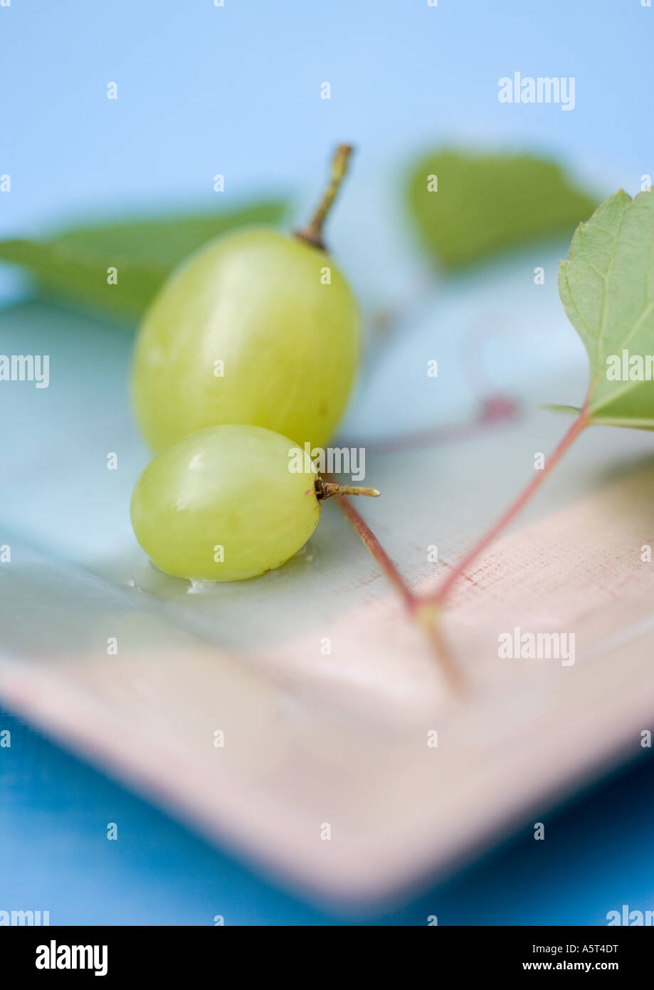 Grapes extreme close up hi-res stock photography and images - Alamy