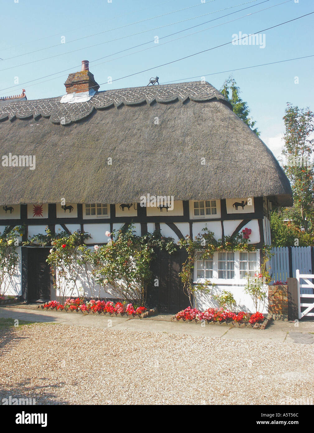 Cat house thatched cottage henfield hi-res stock photography and images ...