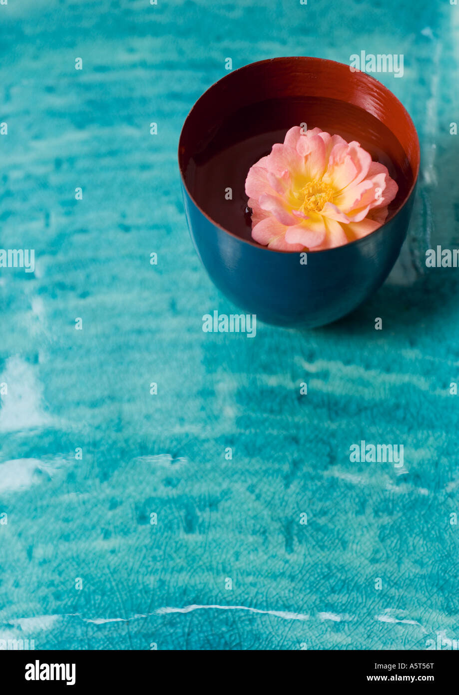 Flower head floating in cup Stock Photo - Alamy