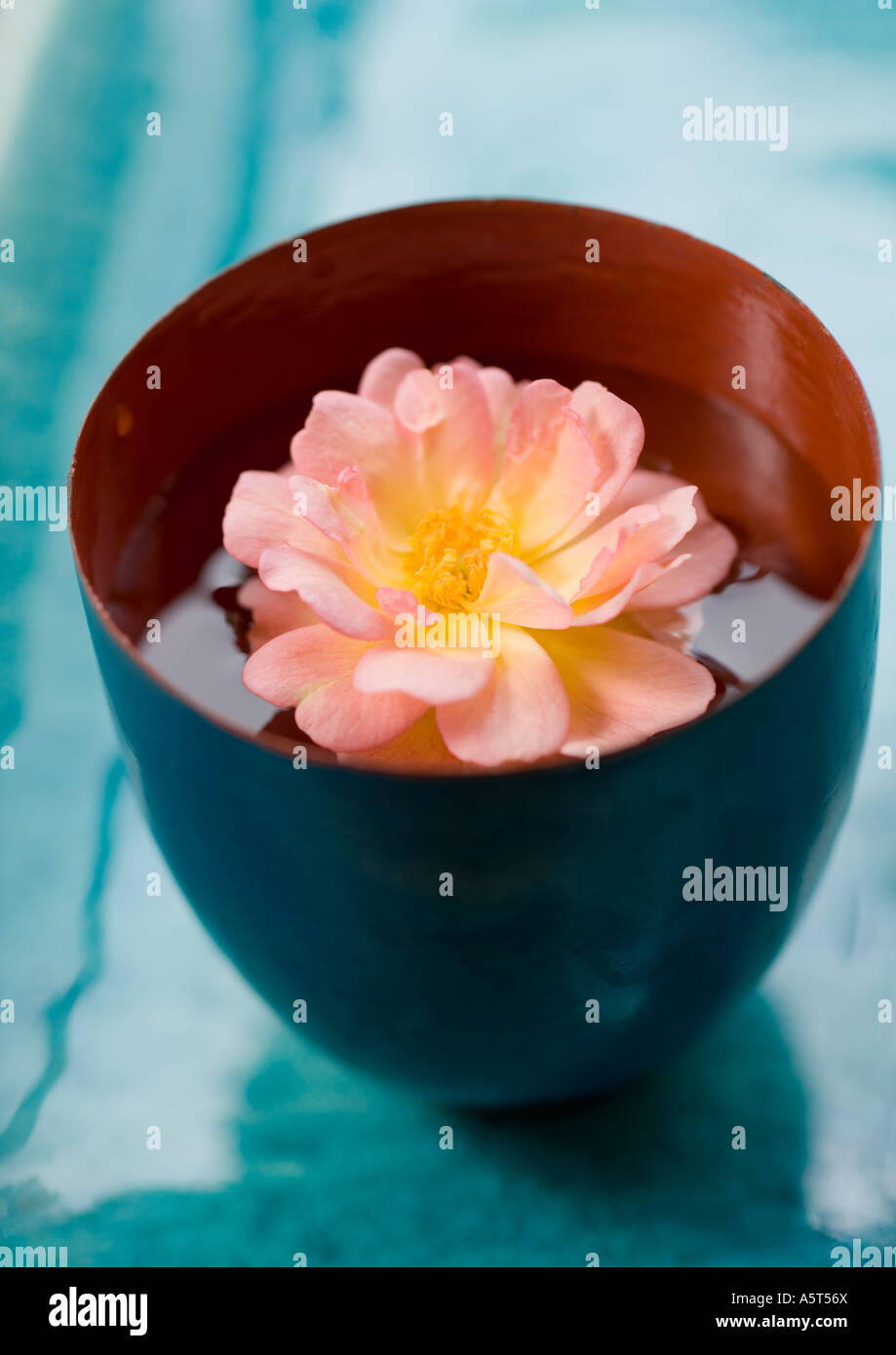 Flower head floating in cup Stock Photo - Alamy