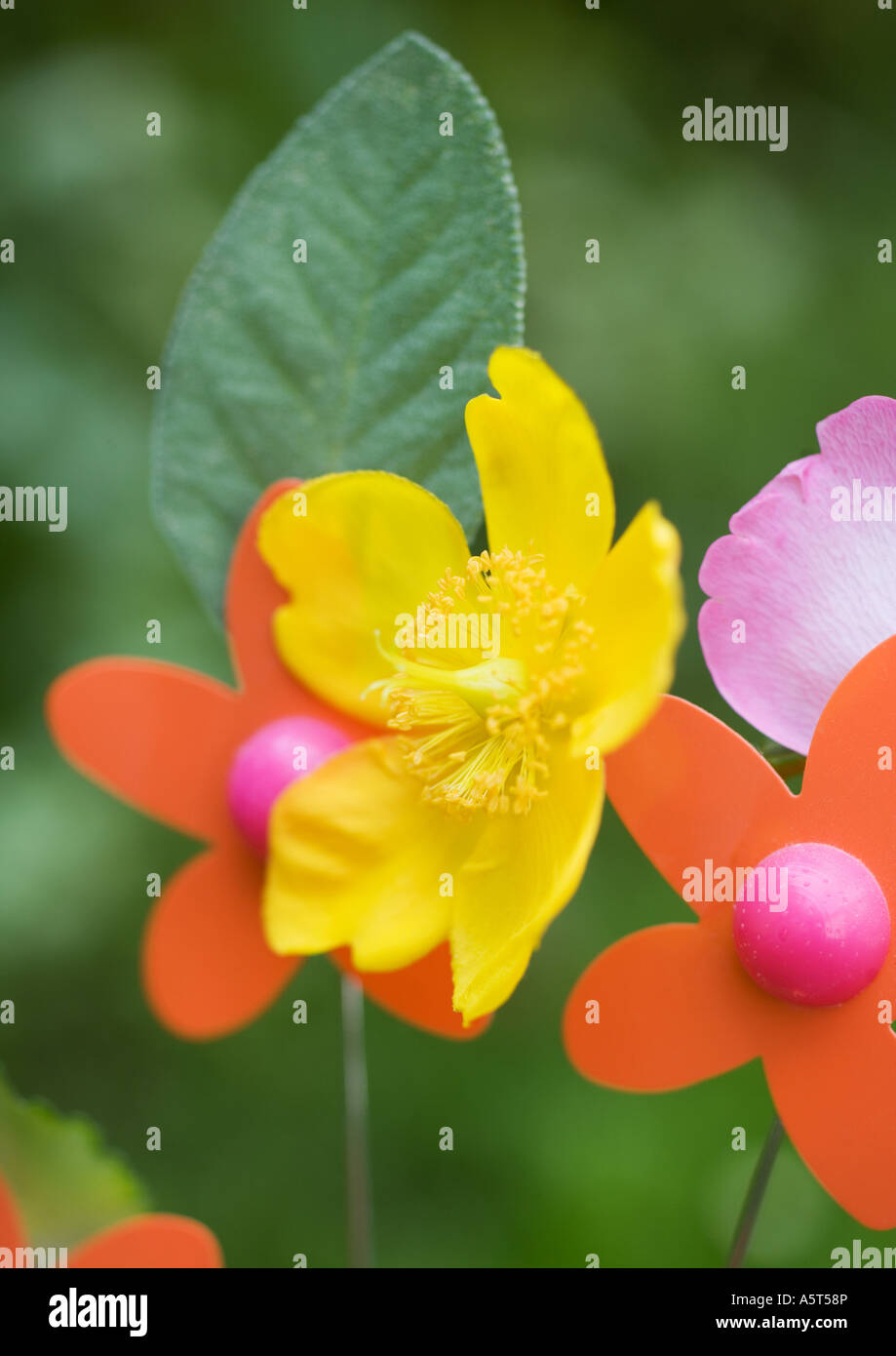 One real flower among artifial flowers Stock Photo - Alamy