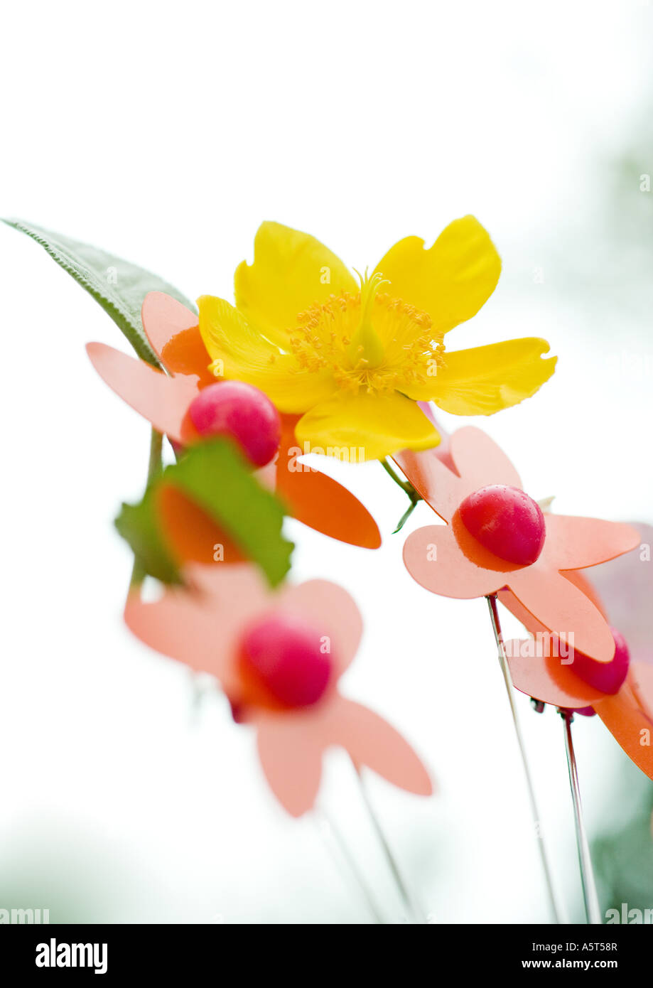 Real fakes hi-res stock photography and images - Alamy