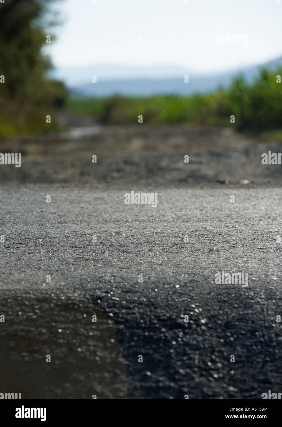 Ground level shots hi-res stock photography and images - Alamy