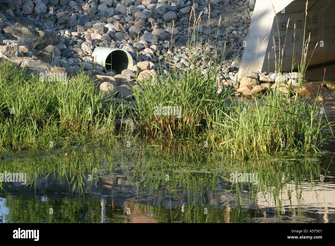 water culvert by grass and stream Stock Photo - Alamy