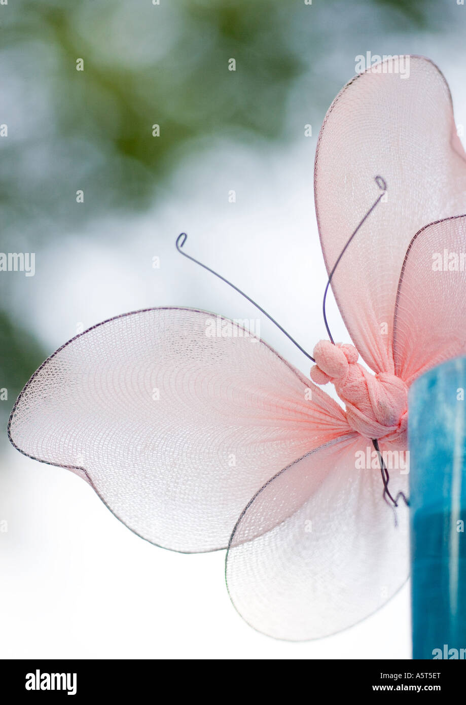 Insects fake eyes hi-res stock photography and images - Alamy