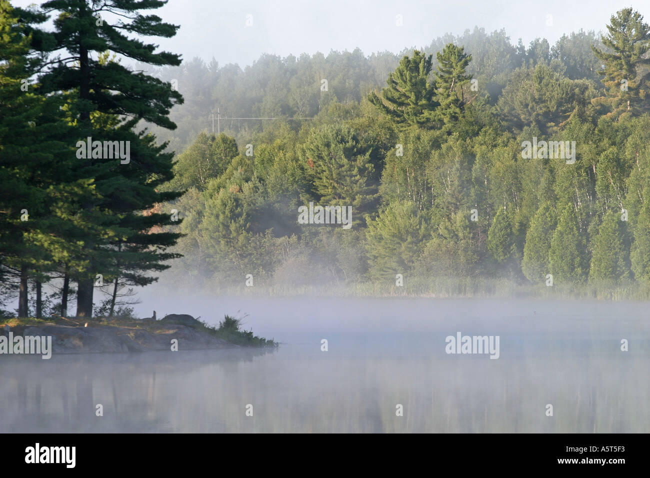 morning mist on lake Stock Photo - Alamy