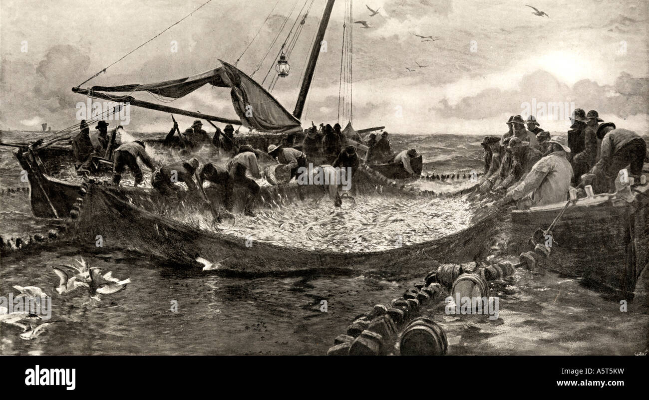Pilchard Fishing from the 1895 painting by C Napier Hemy of Cornish ...