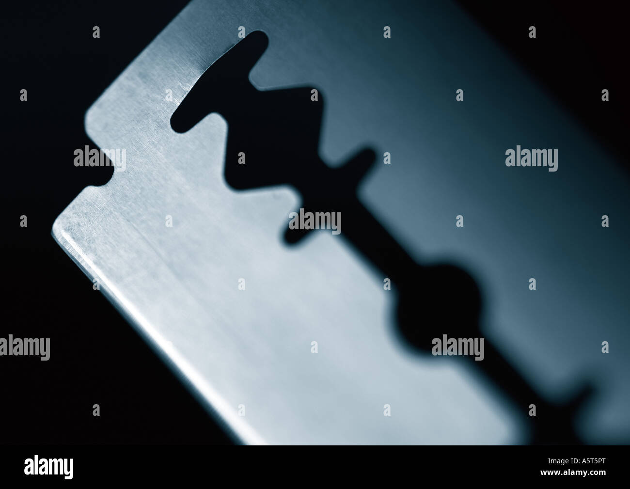 Social blade hi-res stock photography and images - Alamy