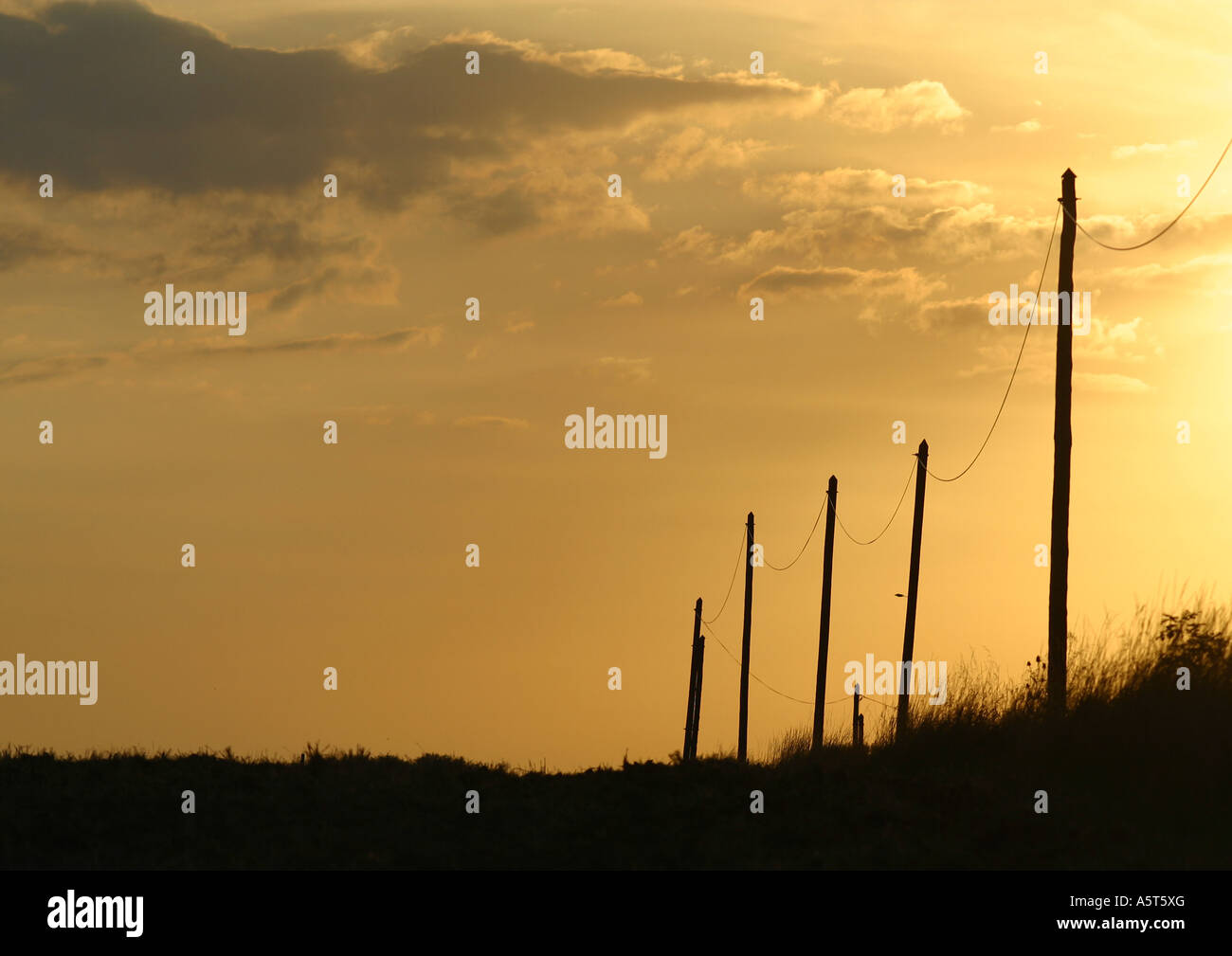 Telephone line connections hi-res stock photography and images - Alamy