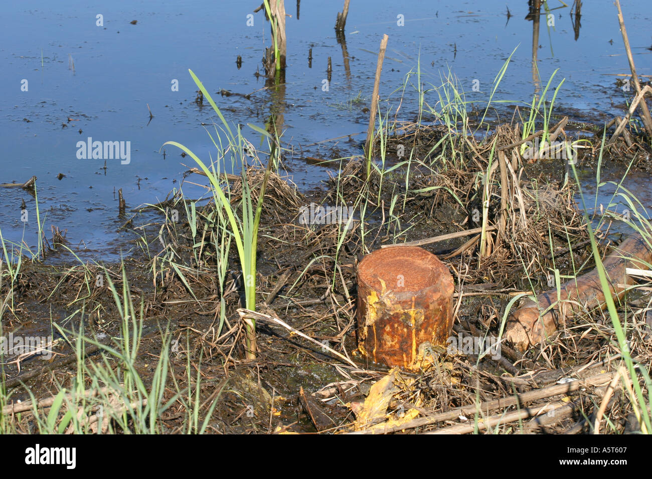 rusty paint can in swamp Stock Photo - Alamy