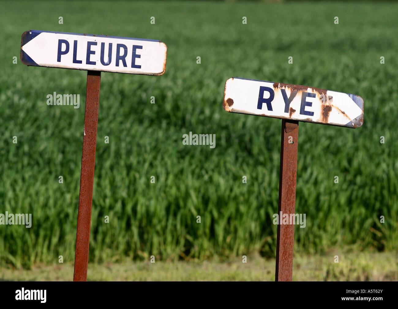 Road signs for two French towns, Pleure and Rye Stock Photo - Alamy