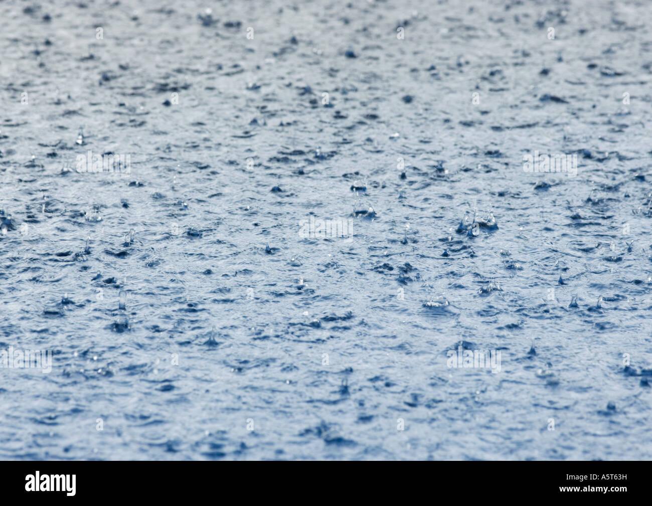 Rain falling on surface of water Stock Photo - Alamy