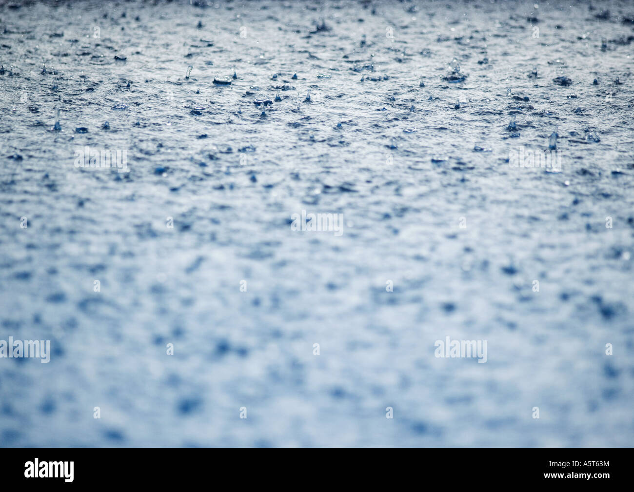 Rain falling on surface of water Stock Photo - Alamy