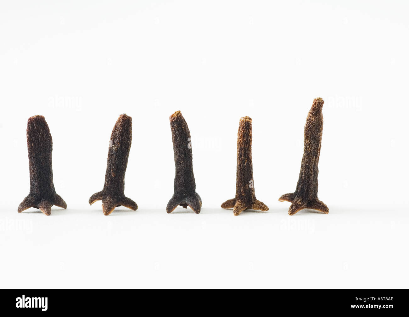 Phallic objects hi-res stock photography and images - Alamy