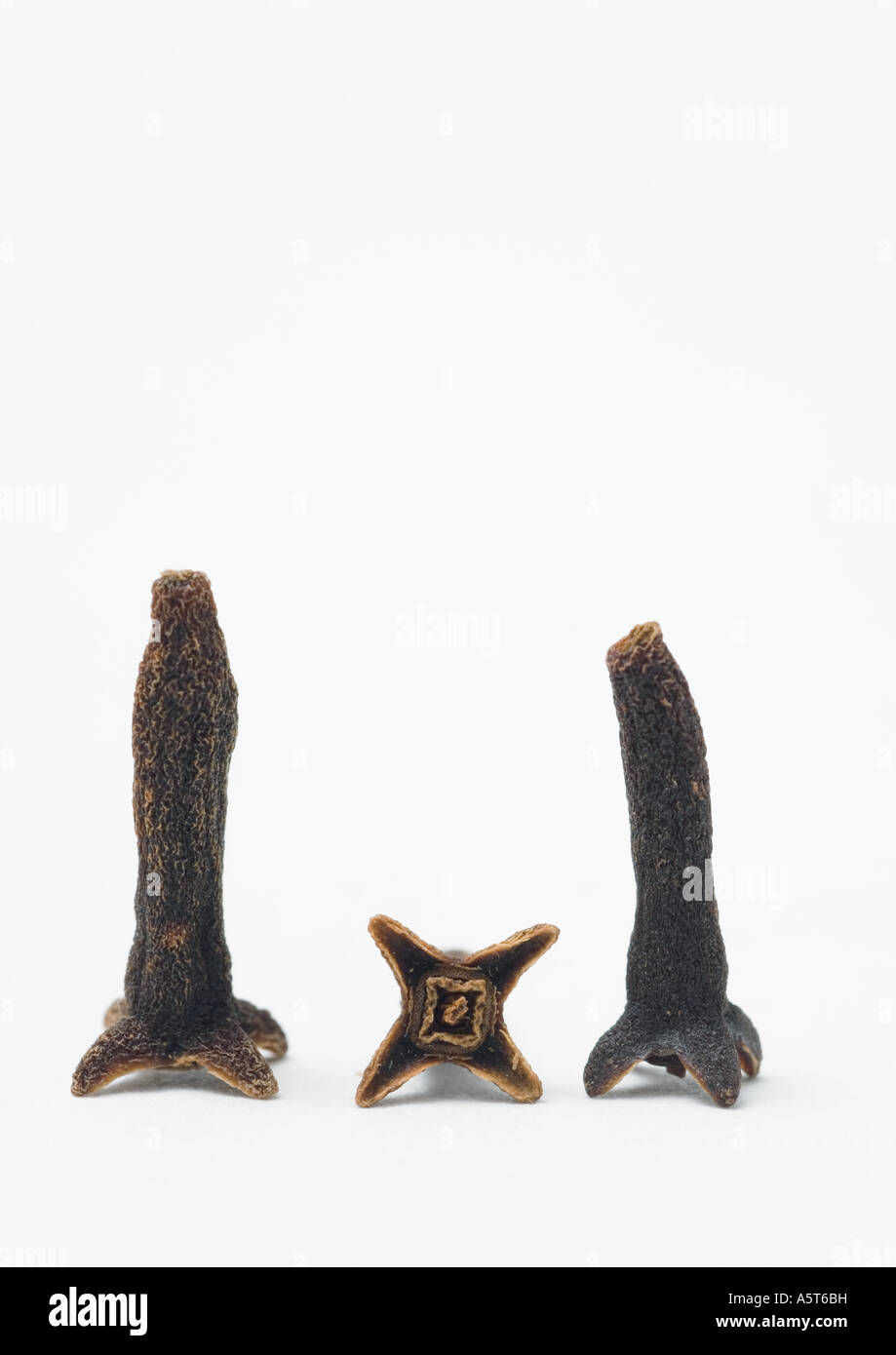 Phallic objects hi-res stock photography and images - Alamy