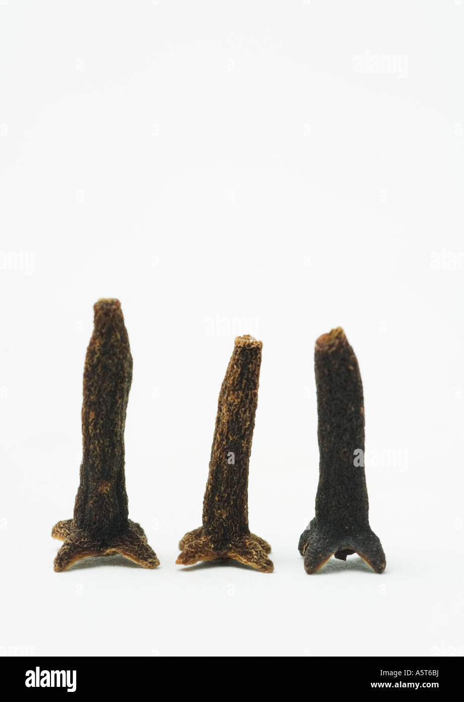 Phallic objects hi-res stock photography and images - Alamy