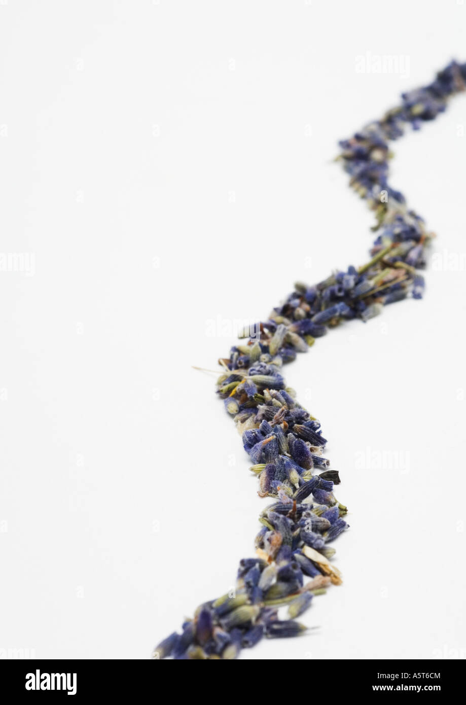Lavender Curves High Resolution Stock Photography and Images - Alamy