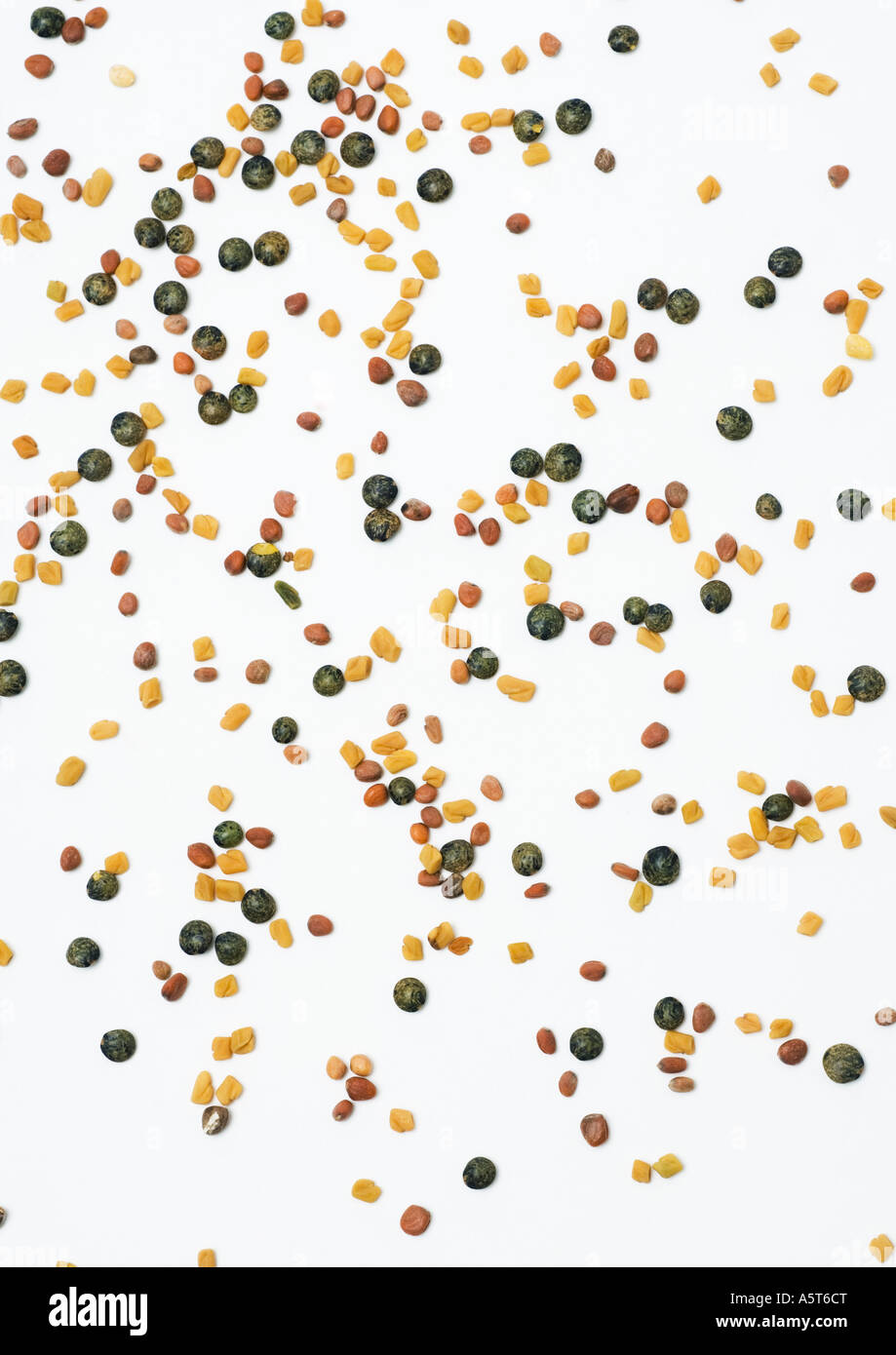 Seeds scattered hi-res stock photography and images - Alamy