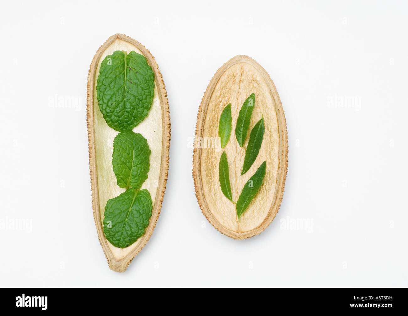 Herbs on dried husks Stock Photo - Alamy