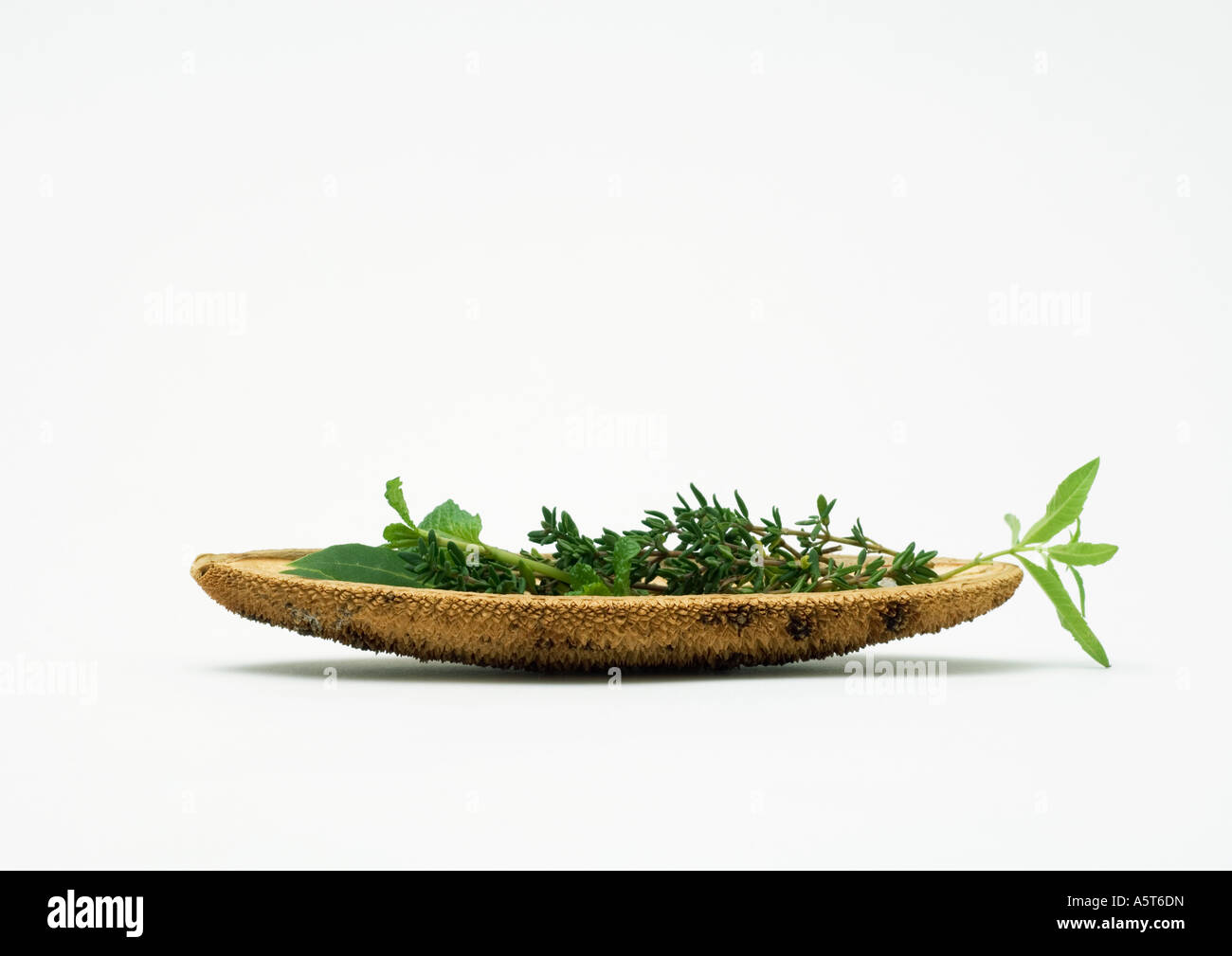 Empty husks hi-res stock photography and images - Alamy