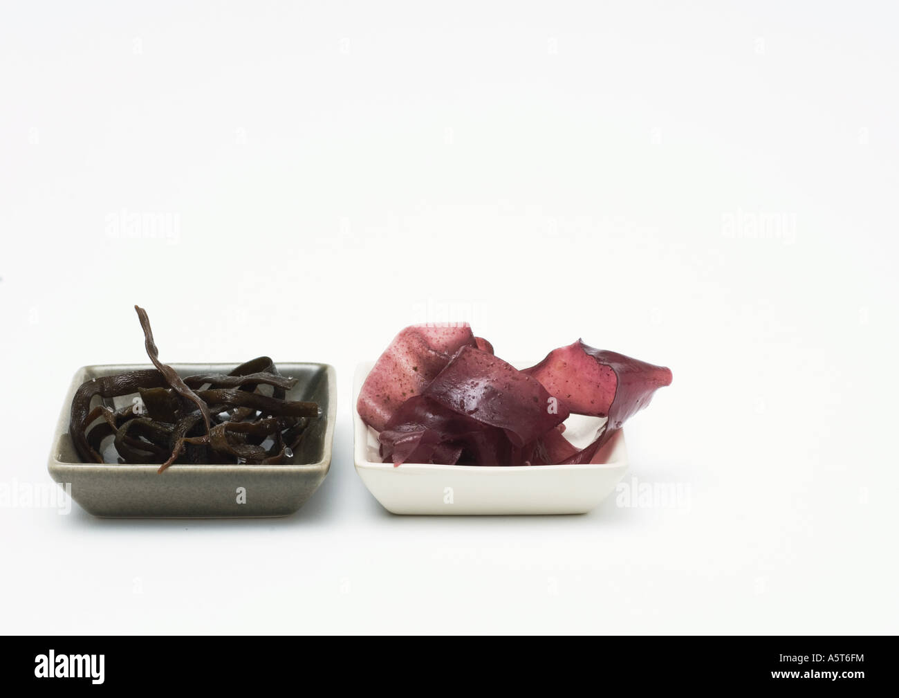 Seaweeds cut out hi-res stock photography and images - Alamy