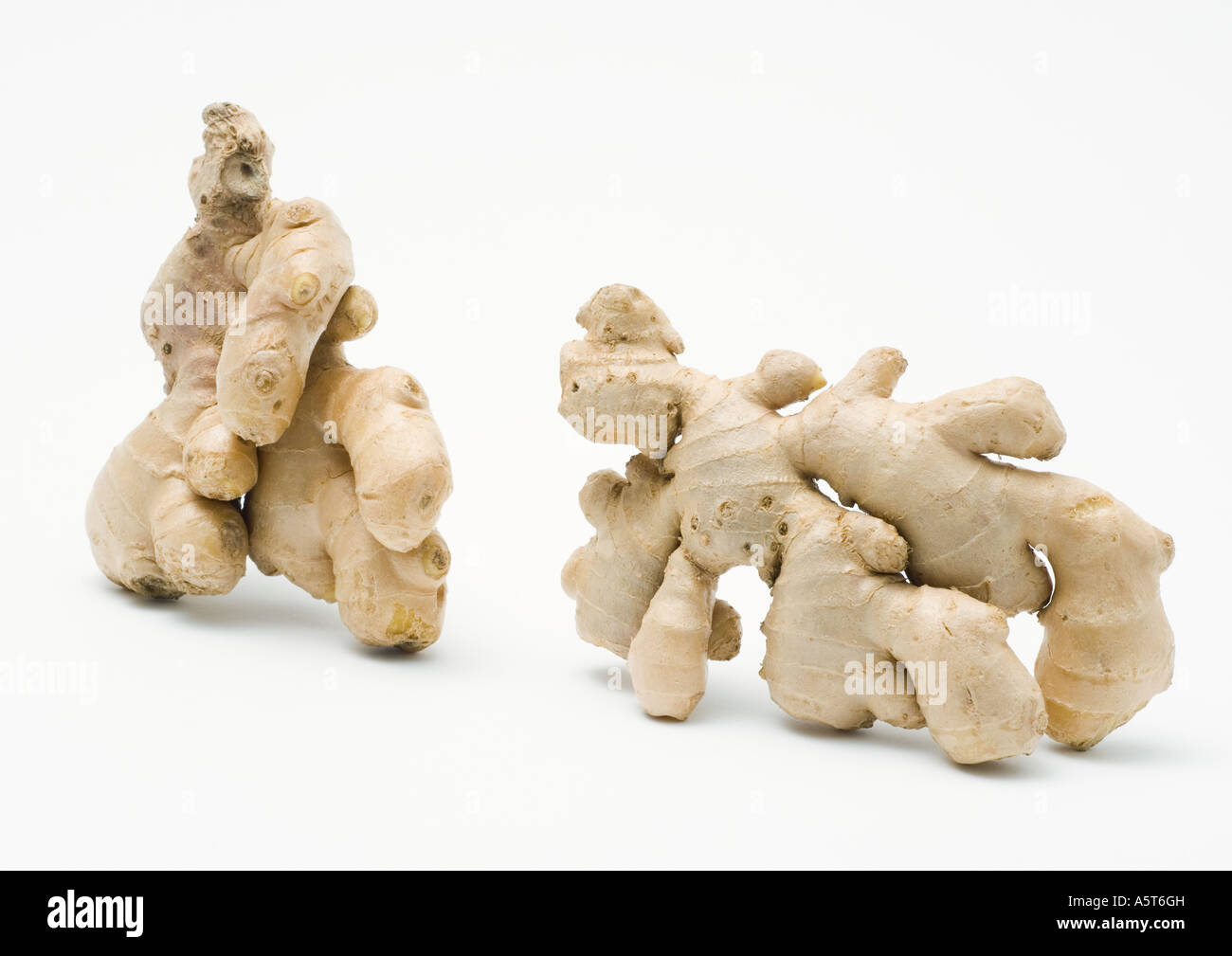 Whole plants with roots Cut Out Stock Images & Pictures - Alamy