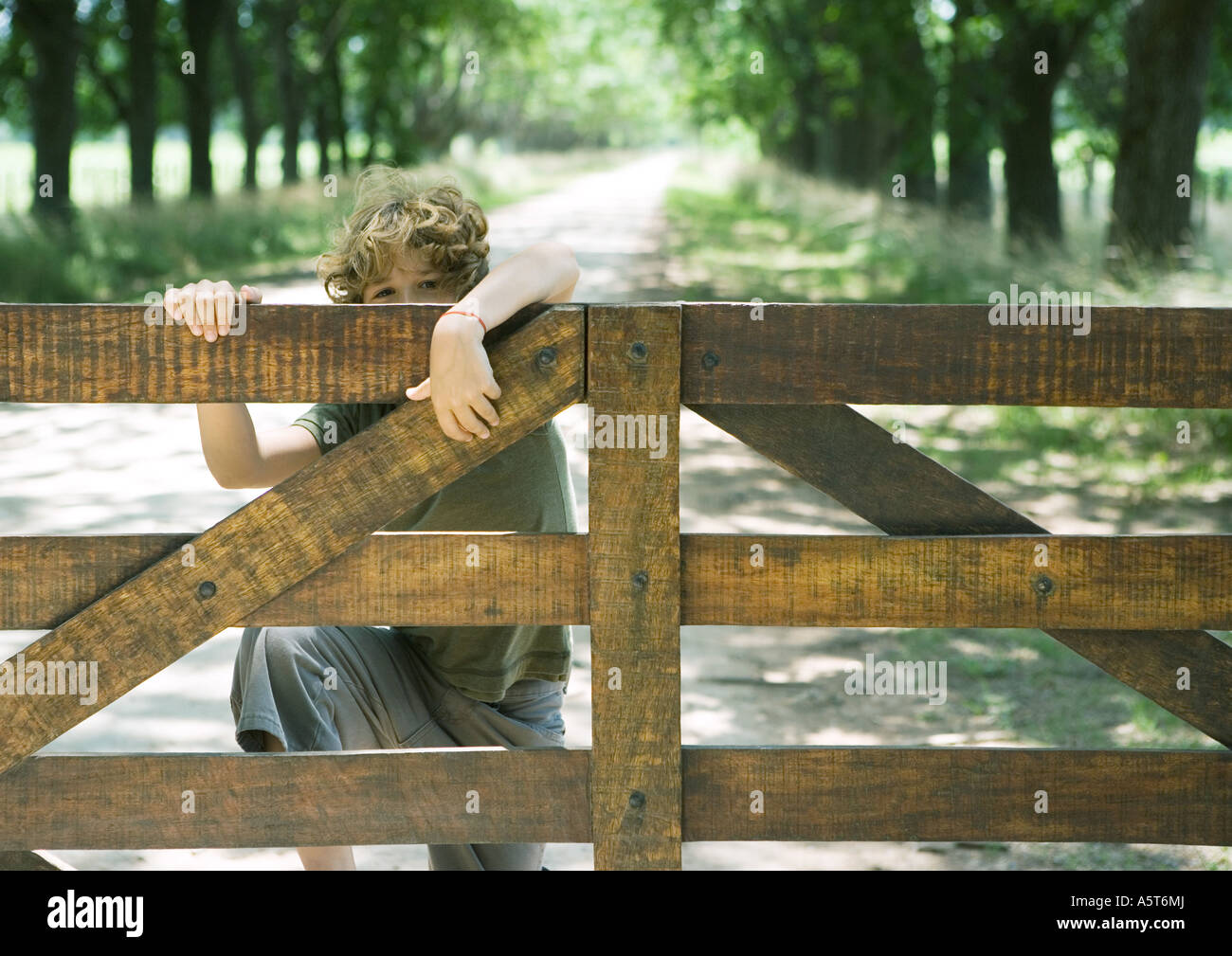 Boy climbing fence Stock Photo - Alamy