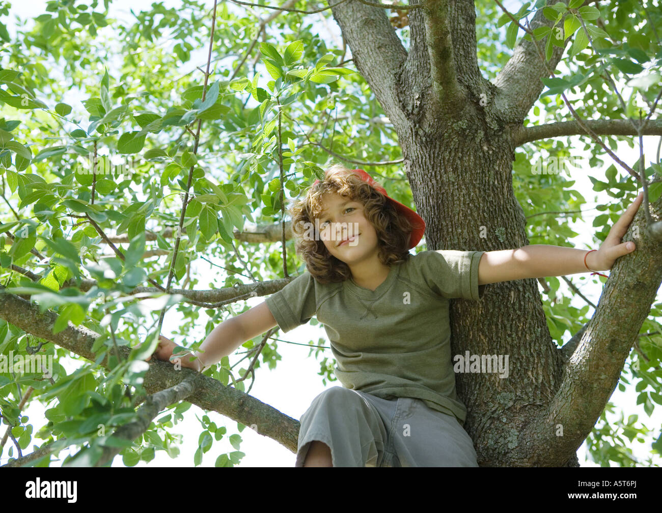 Boy sitting in tree Stock Photo - Alamy