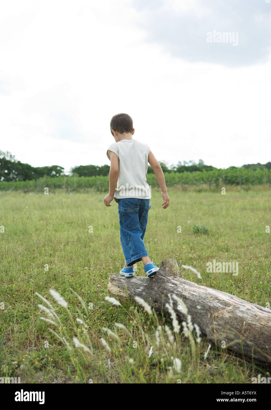 Boy walking on log Stock Photo - Alamy