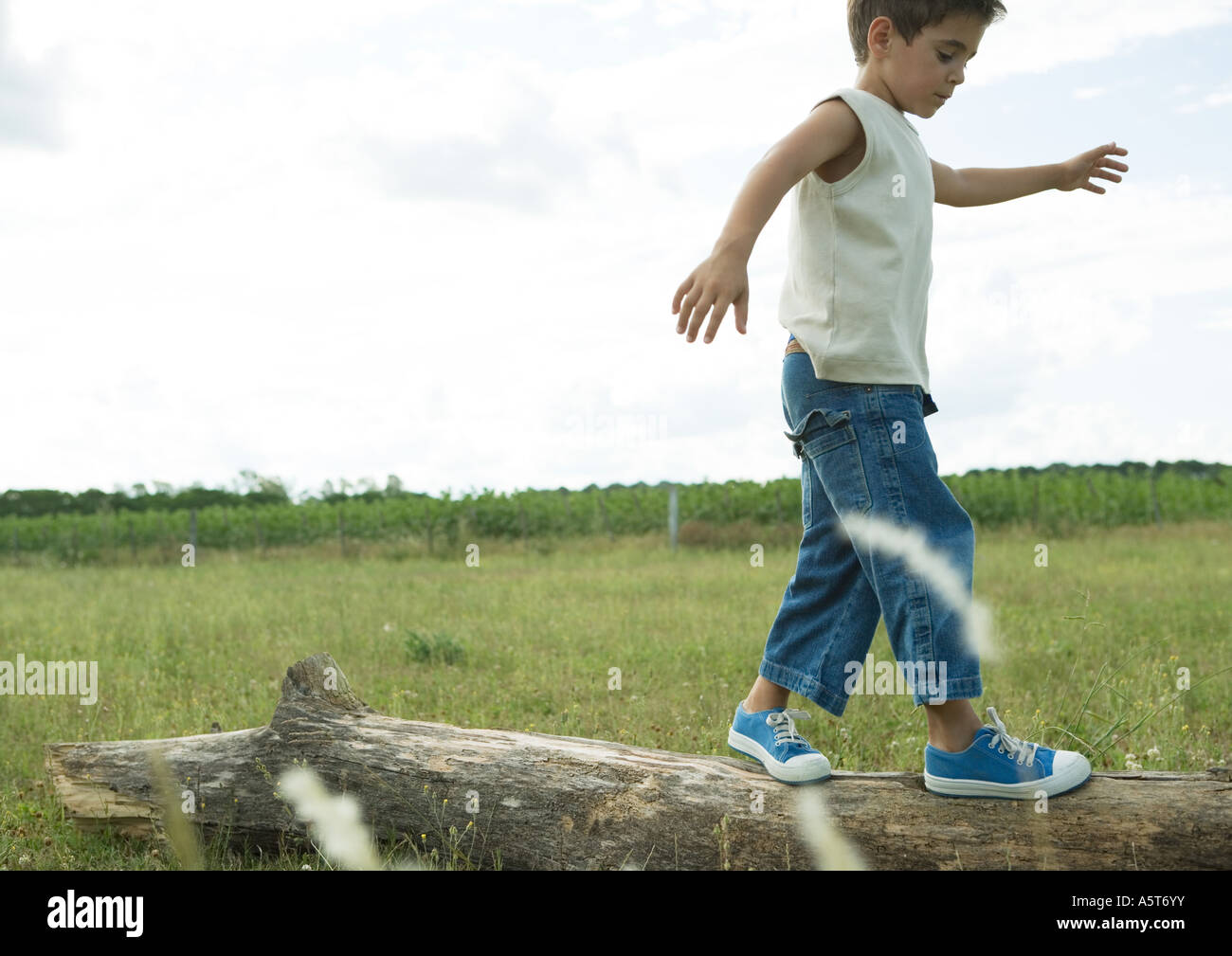 Boy walking on log hi-res stock photography and images - Alamy